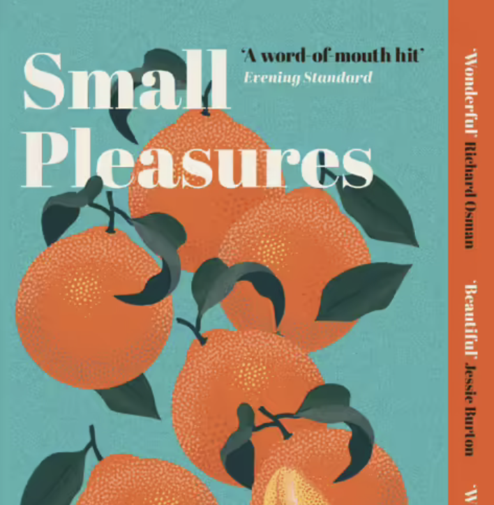 Small Pleasures by Clare Chambers | Readhead